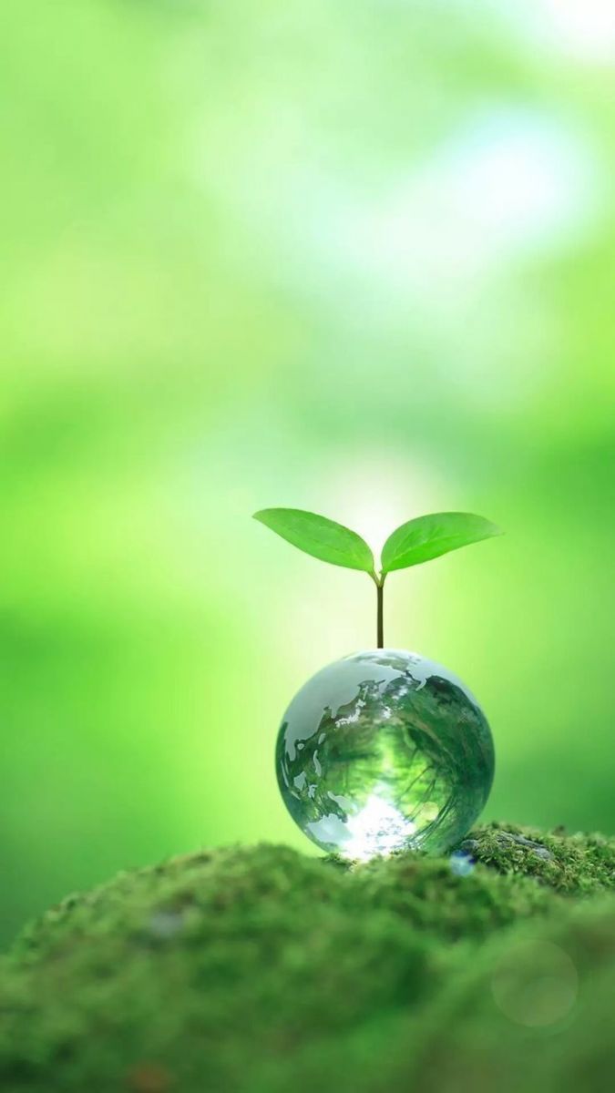 성경진리사역원(BTMK) | “예수님을 죽게 한 것을 짊어짐”